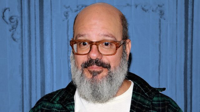 David Cross Net Worth 2024 - Atlanta Celebrity News