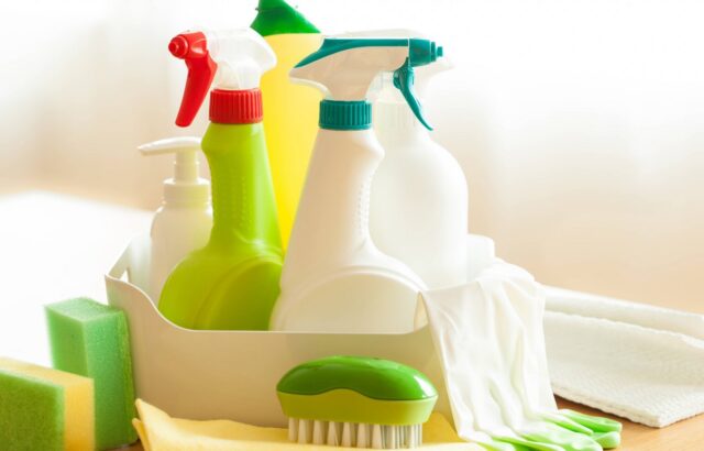 6 Tips on Making Your Business Environmentally Friendly - Atlanta ...