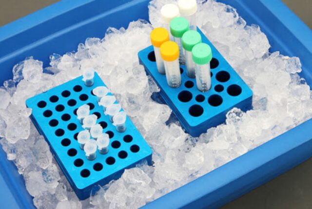 5 Reasons Your Business Needs an Ice Maker Machine - Atlanta Celebrity News