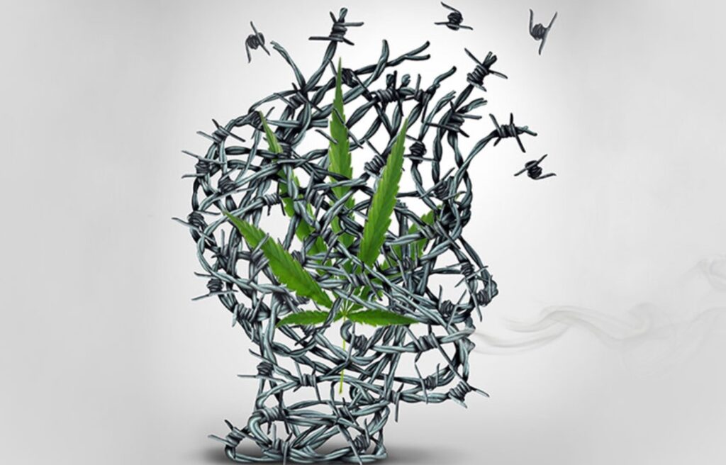 5 Best High-CBD Strains For Anxiety - Atlanta Celebrity News