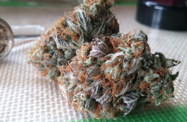 5 Best High-CBD Strains For Anxiety - Atlanta Celebrity News