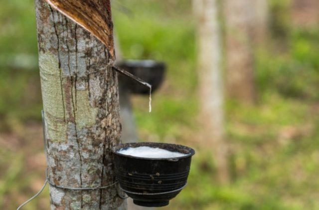 6 Reasons why is Rubber is the Best Material for Tubing - Atlanta ...