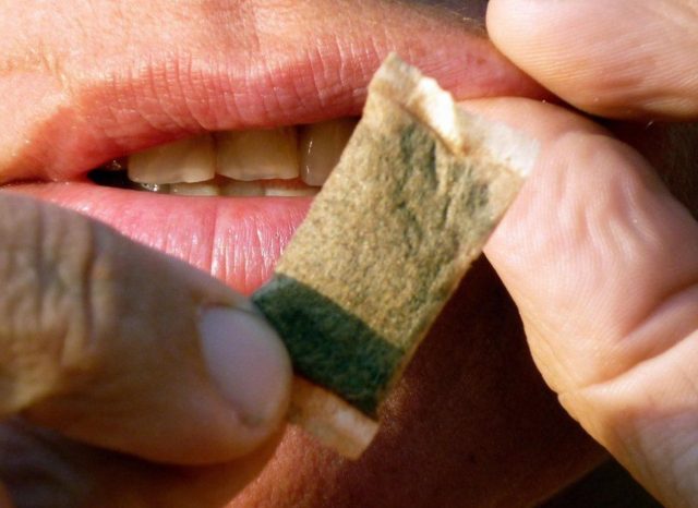 5 Things Know Before Using Snus or Nicotine Pouches - Atlanta Celebrity ...