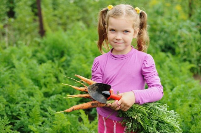 4 Benefits of Sharing Your Hobbies With Your Kids - Atlanta Celebrity News