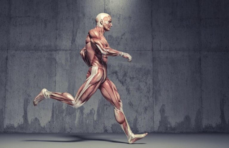 10 Ways to Improve Muscle Stability - Atlanta Celebrity News