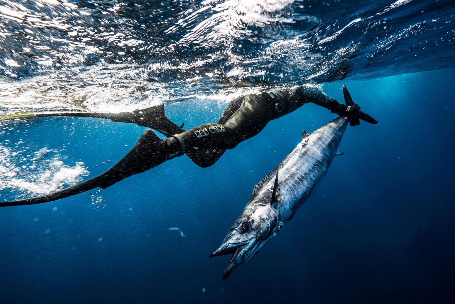The Art of Spearfishing Wahoo in Cabo Verde: A Comprehensive Guide ...