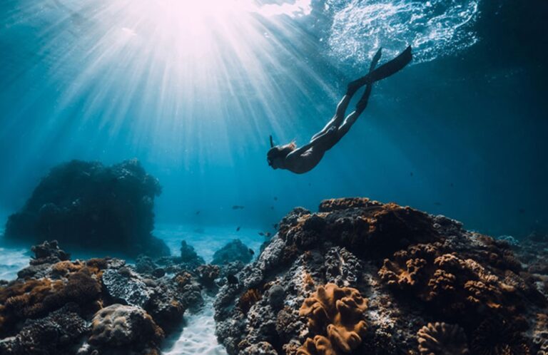 What is Freediving and What Are Its Benefits - Atlanta Celebrity News