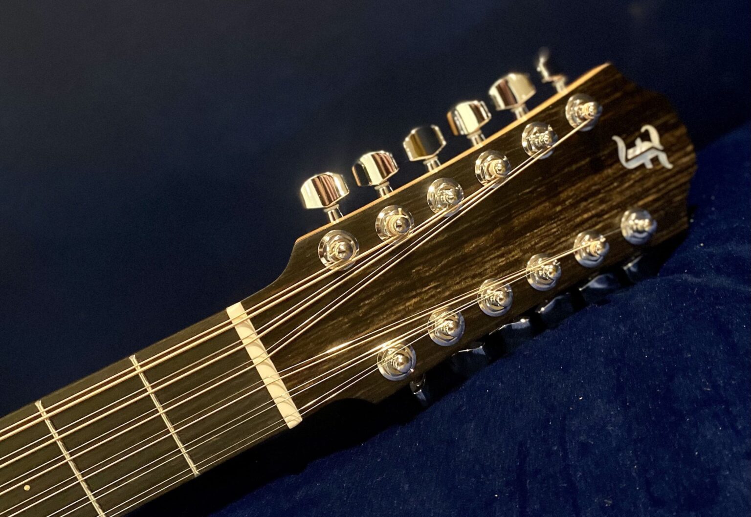 The Rich Harmony of 12-String Guitars: Exploring a Musical Marvel - Atlanta Celebrity News